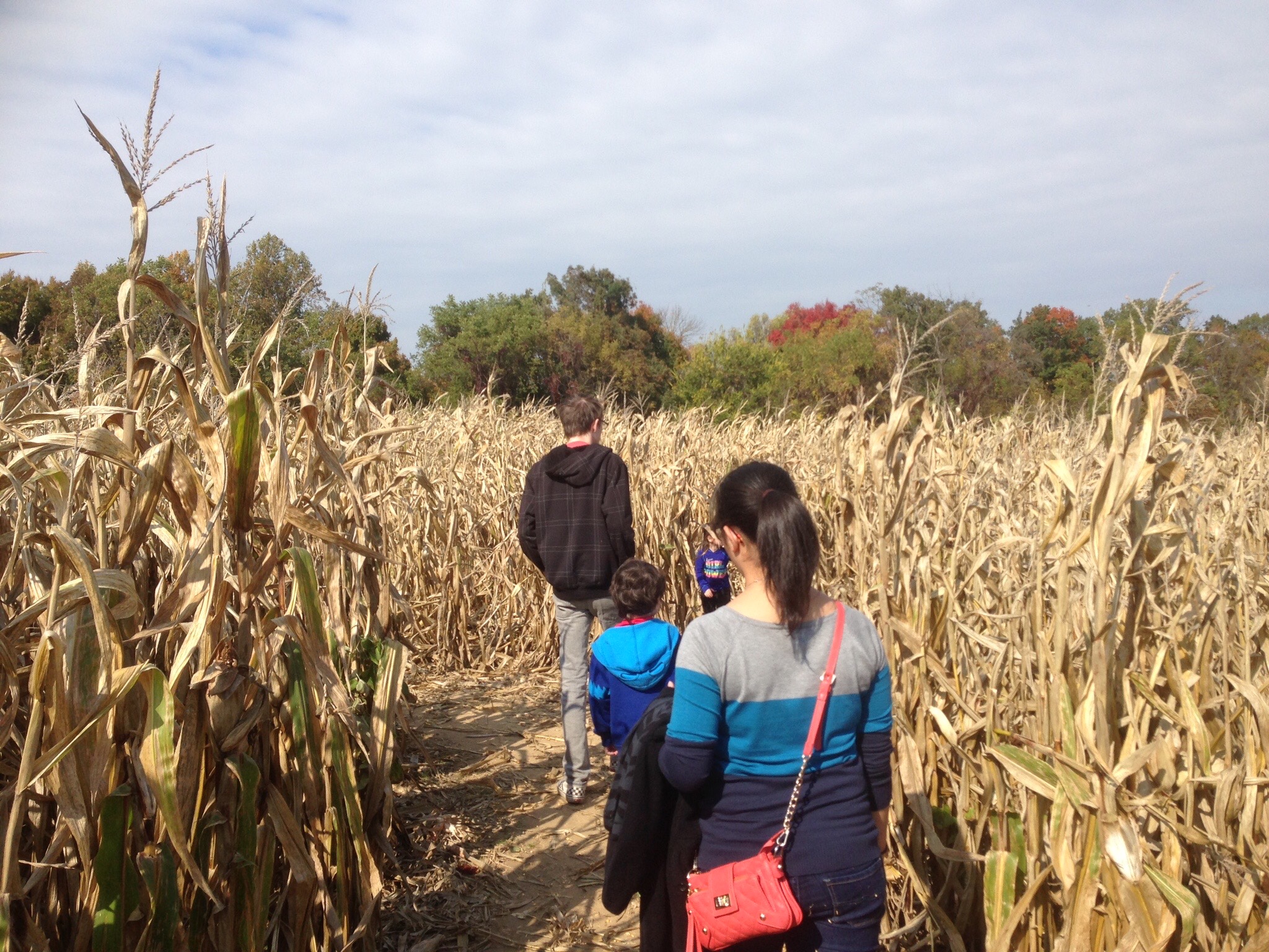 01214ec42ada84249331ca1b91c684d13f7055a3eb | My Roots Run Deep