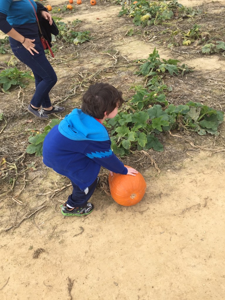 My Roots Run Deep | Geneology and Stories from our Family History